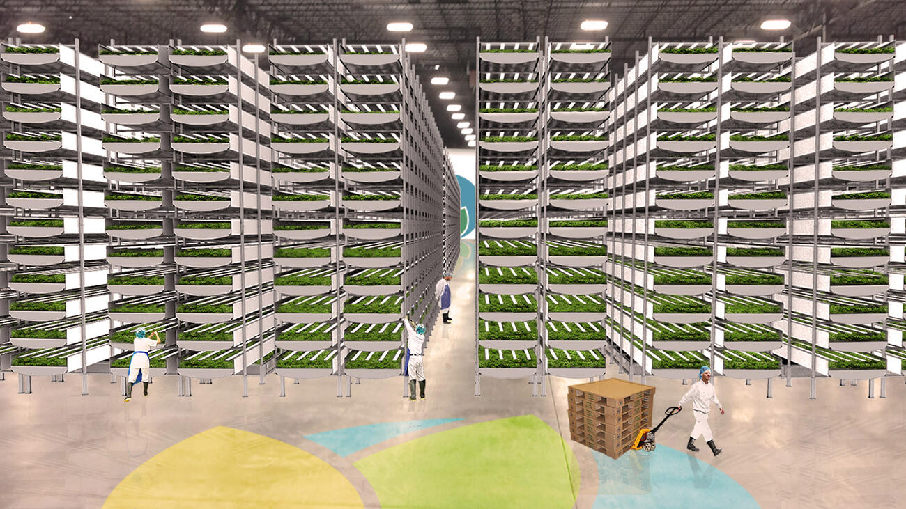 Hightech-Landwirtschaft gegen den Hunger der Welt | Stifterverband