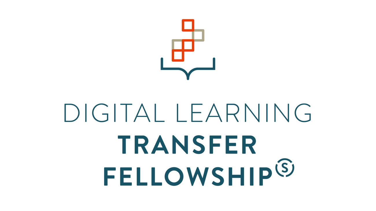 Digital Learning Transfer Fellowship | Stifterverband